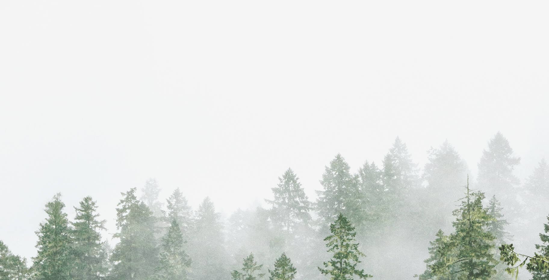 Smart Technology For Photo Printing Your Memories | Popsa